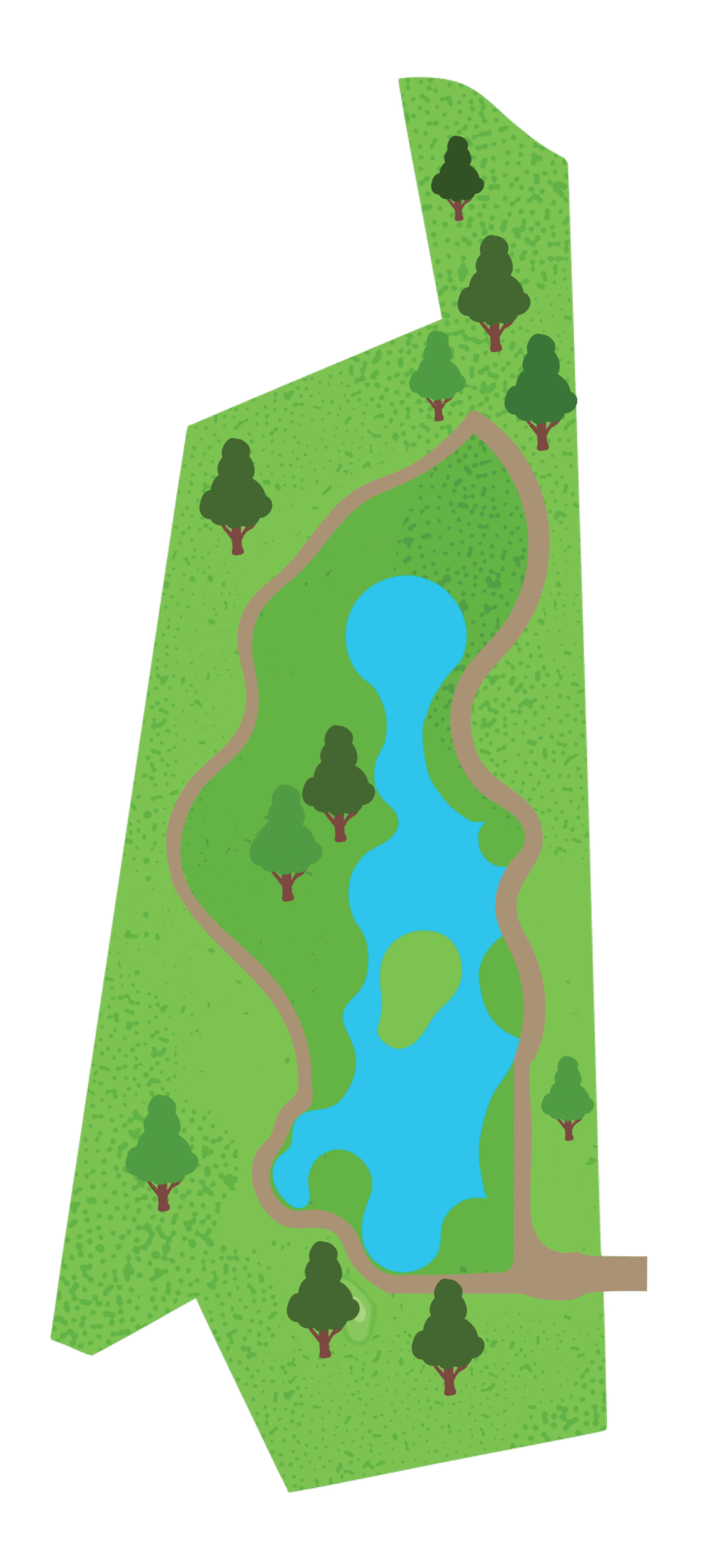 Jungle Trail - Jungle Trail